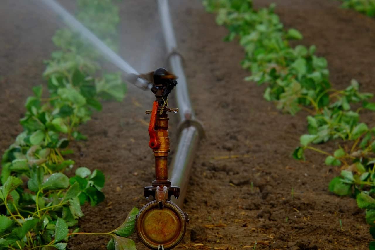 Preserving water resources – one of the major challenges for agriculture Preserving water resources – one of the major challenges for agriculture