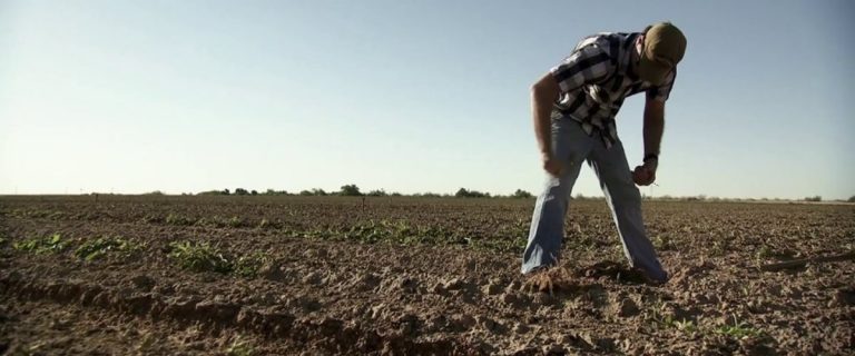 20 best movies and documentaries about farming